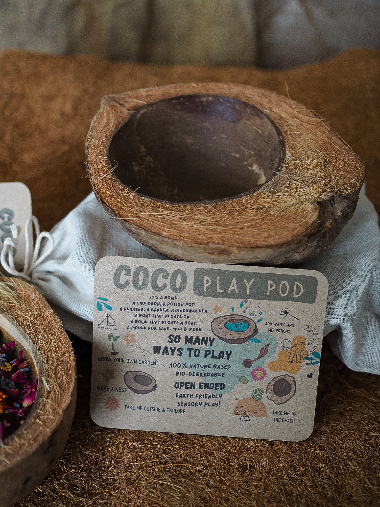 Coco Play Pod – Wild Mountain Child