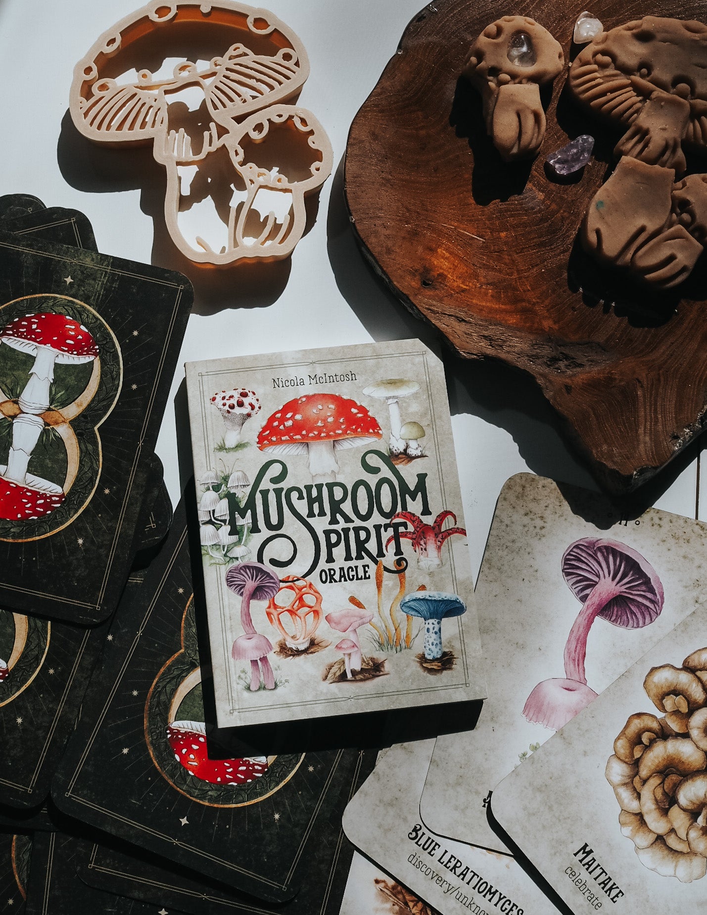 Mushroom Spirit Oracle cards – Wild Mountain Child