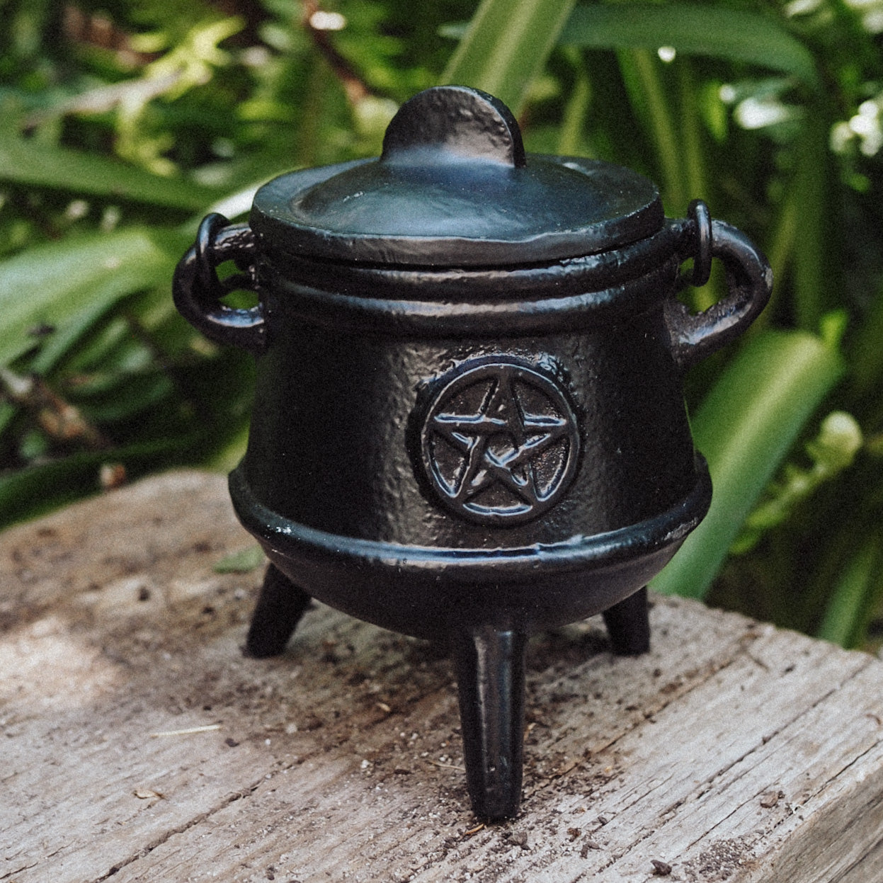 Little Cauldrons | Wild Mountain Child