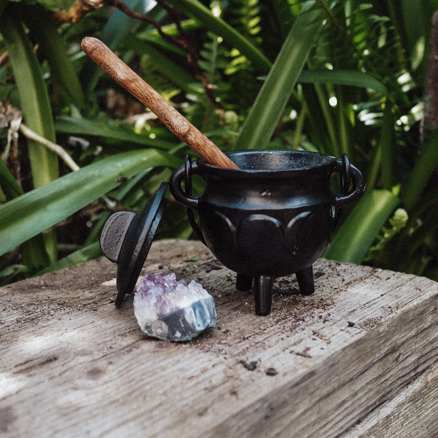 Little Cauldrons | Wild Mountain Child