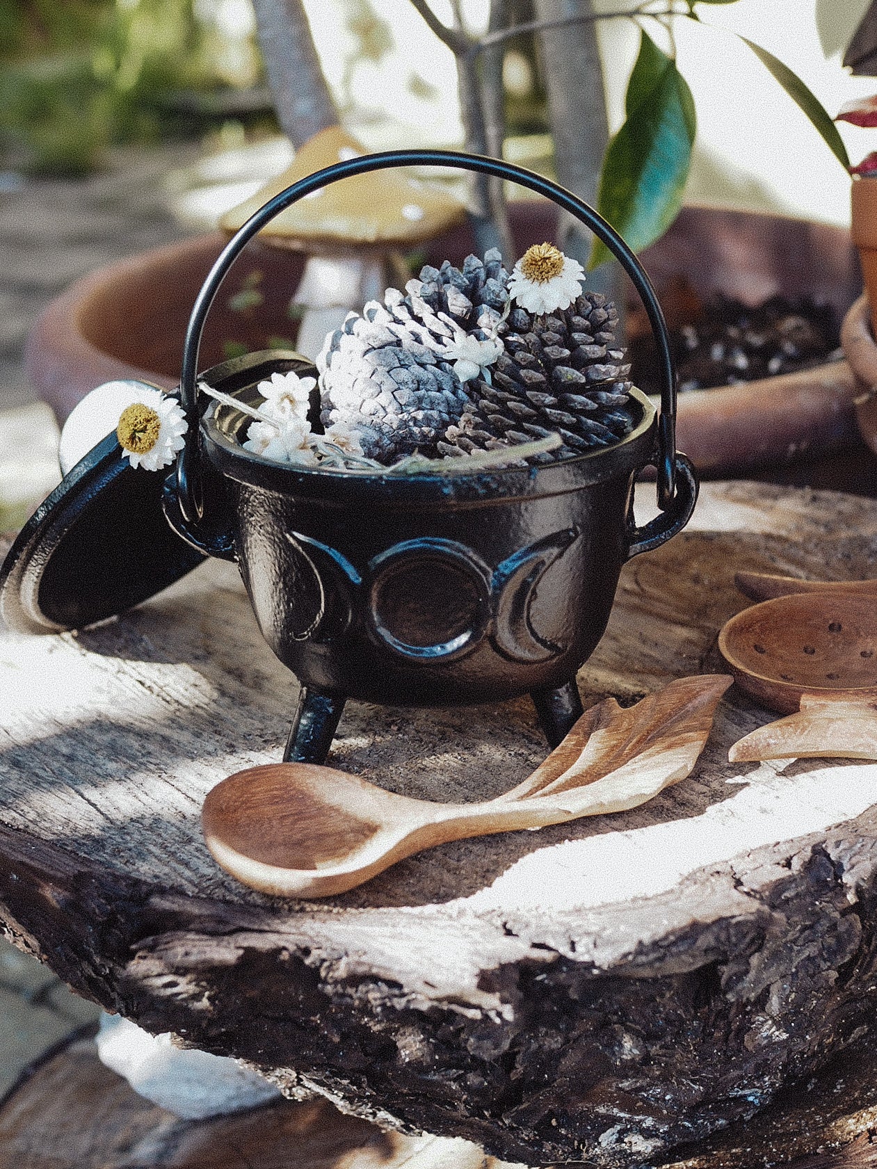 Little Cauldrons | Wild Mountain Child