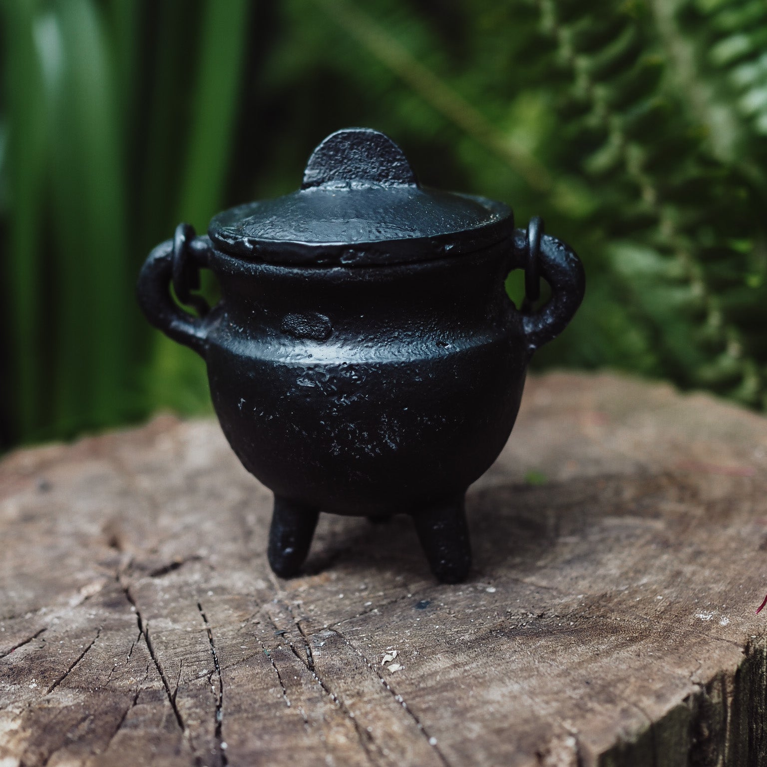 Little Cauldrons | Wild Mountain Child